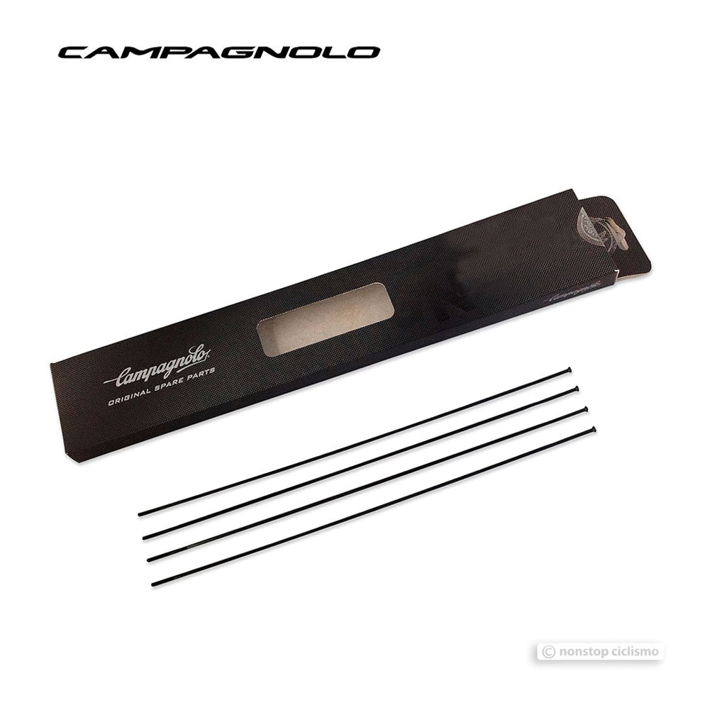 CAMPAGNOLO LEVANTE SPOKE KIT FR/RR LEFT : WH-01LV — Nonstop Ciclismo Gear